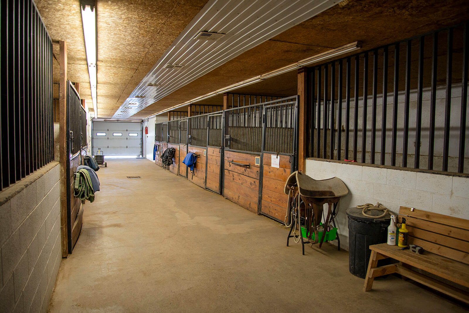 Natural Horsemanship in The Big Sky - Campbell Horses